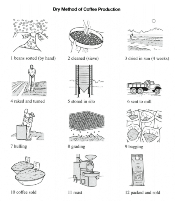 How to Describe a IELTS Process - Dry Coffee Production - IELTS Task 1 ...